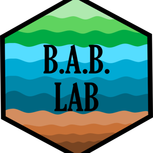 Research | B.A.B. Lab